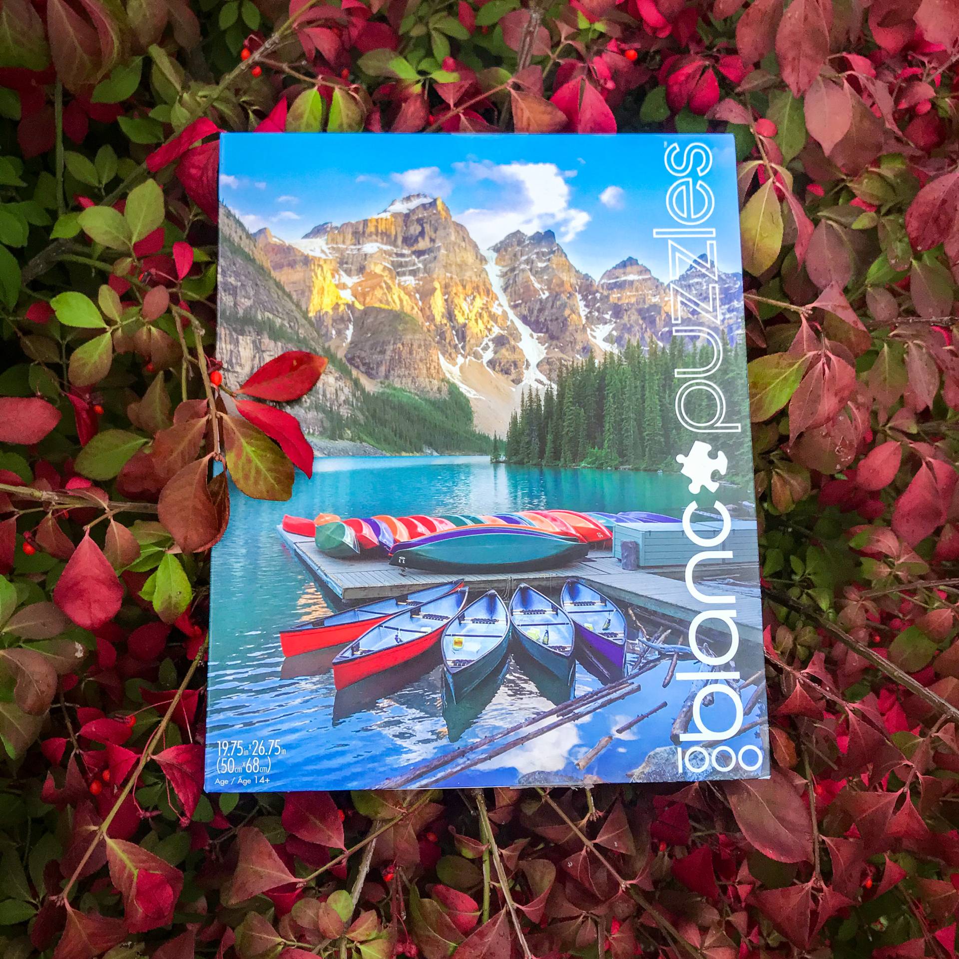Travel Boldly: Brand Collaborations for Inspiring Content
